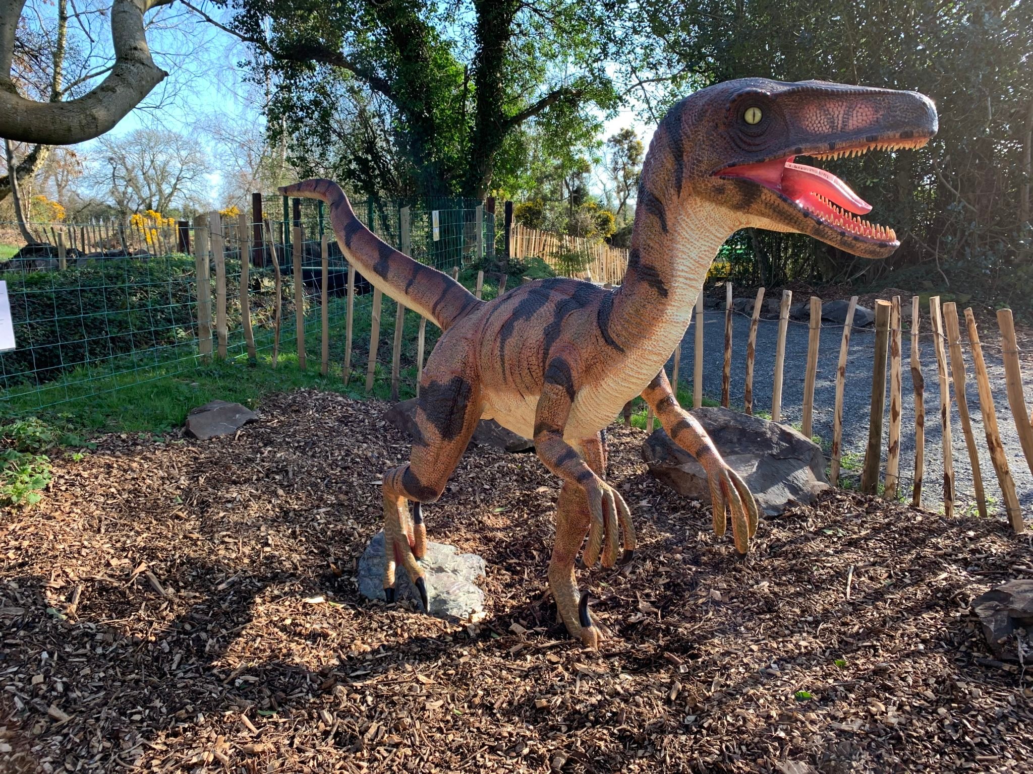 The Ark Open Farm - Fun filled family days out in Northern Ireland