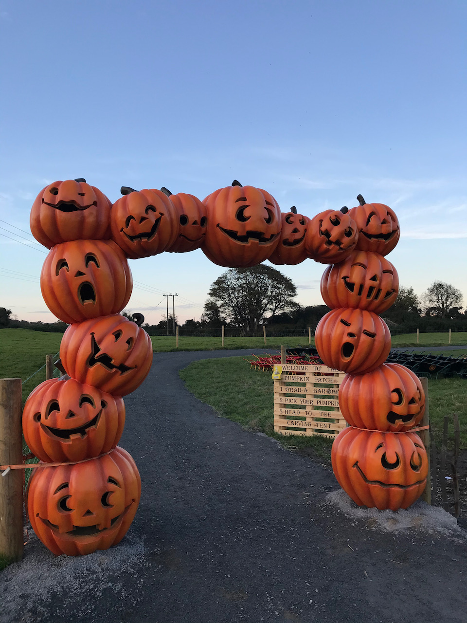 Halloween Pumpkin Patch - The Ark Open Farm