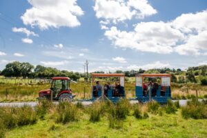 Plan Your Visit - The Ark Open Farm