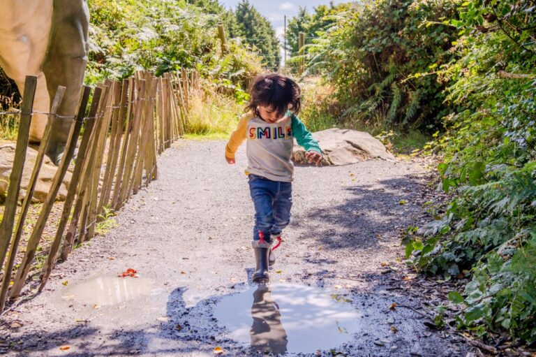 Plan Your Visit - The Ark Open Farm