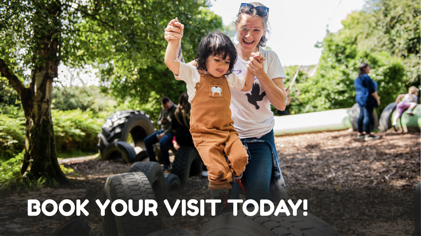 The Ark Open Farm - Fun filled family days out in Northern Ireland