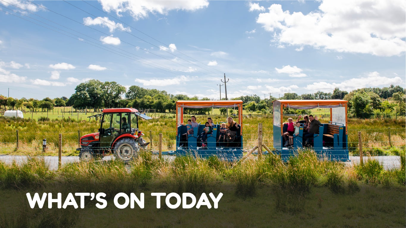 The Ark Open Farm - Fun filled family days out in Northern Ireland