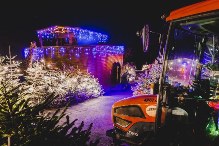 Events - The Ark Open Farm