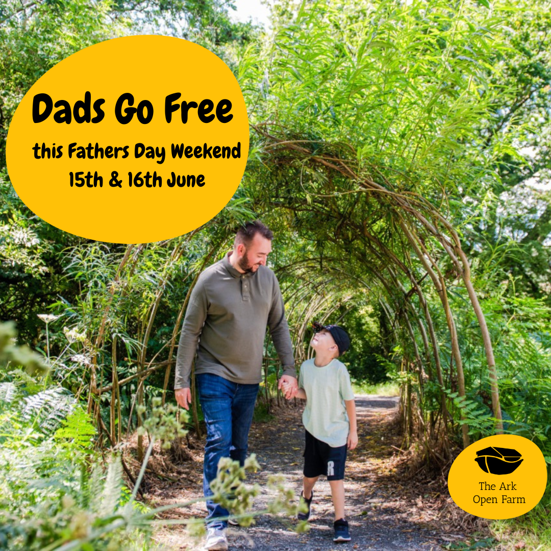 News - The Ark Open Farm