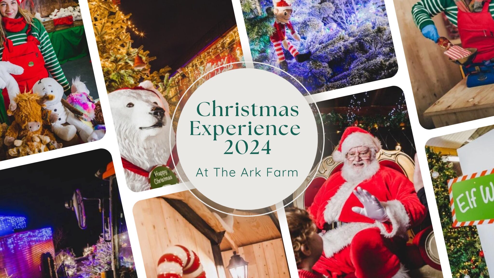 The Ark Open Farm - Fun filled family days out in Northern Ireland
