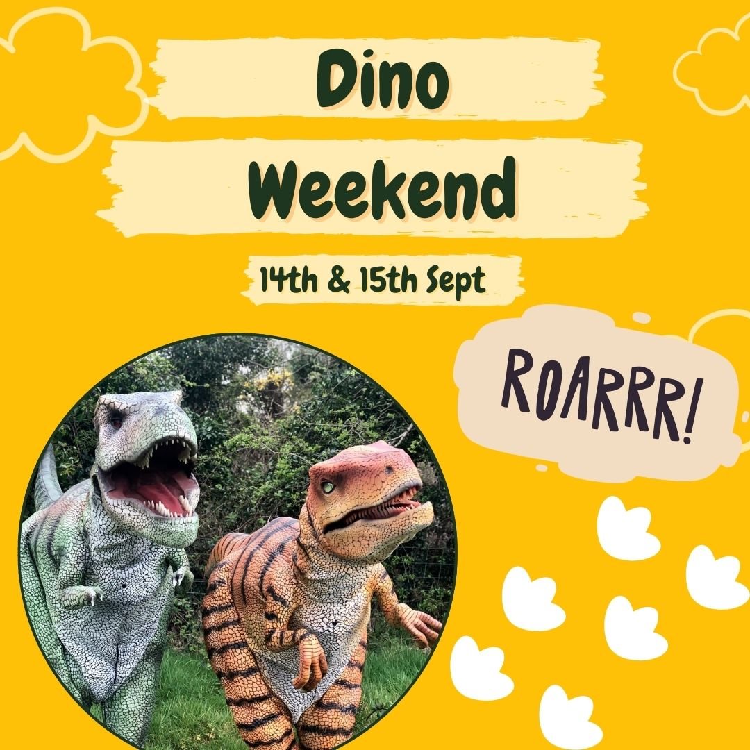Dino Weekend - The Ark Open Farm