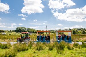 Ticket Prices - The Ark Open Farm