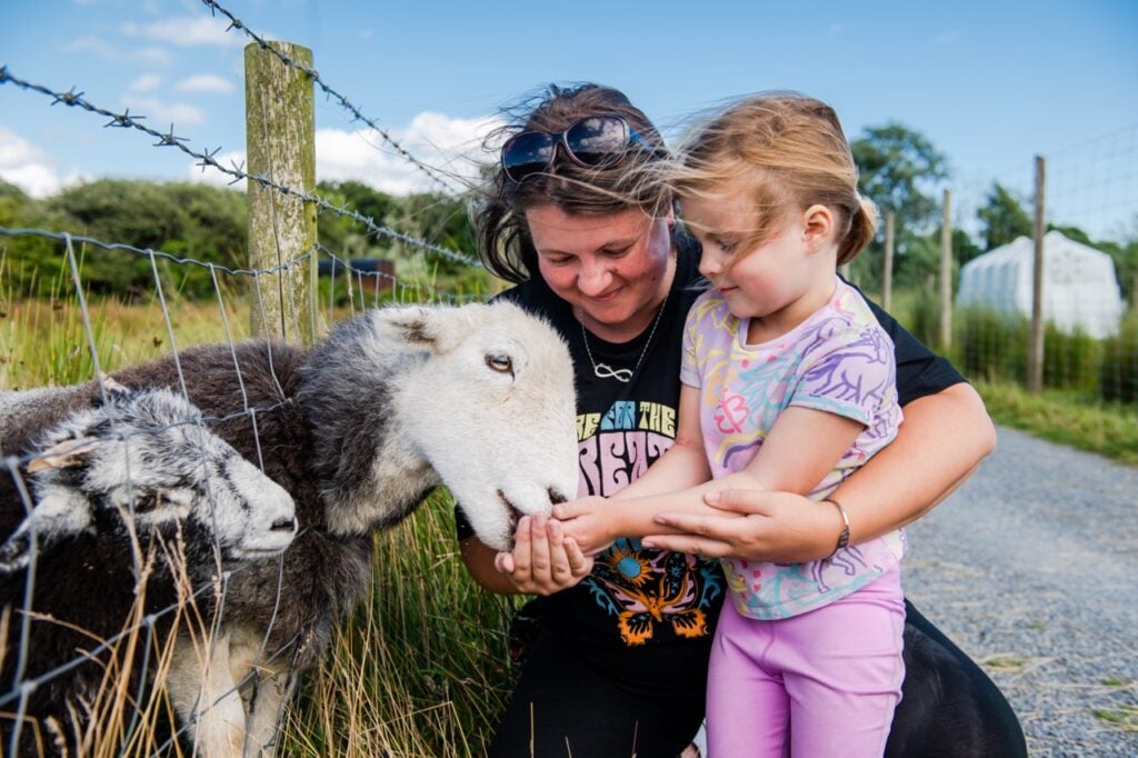 Animals - The Ark Open Farm