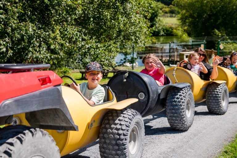 The Ark Open Farm - Fun filled family days out in Northern Ireland