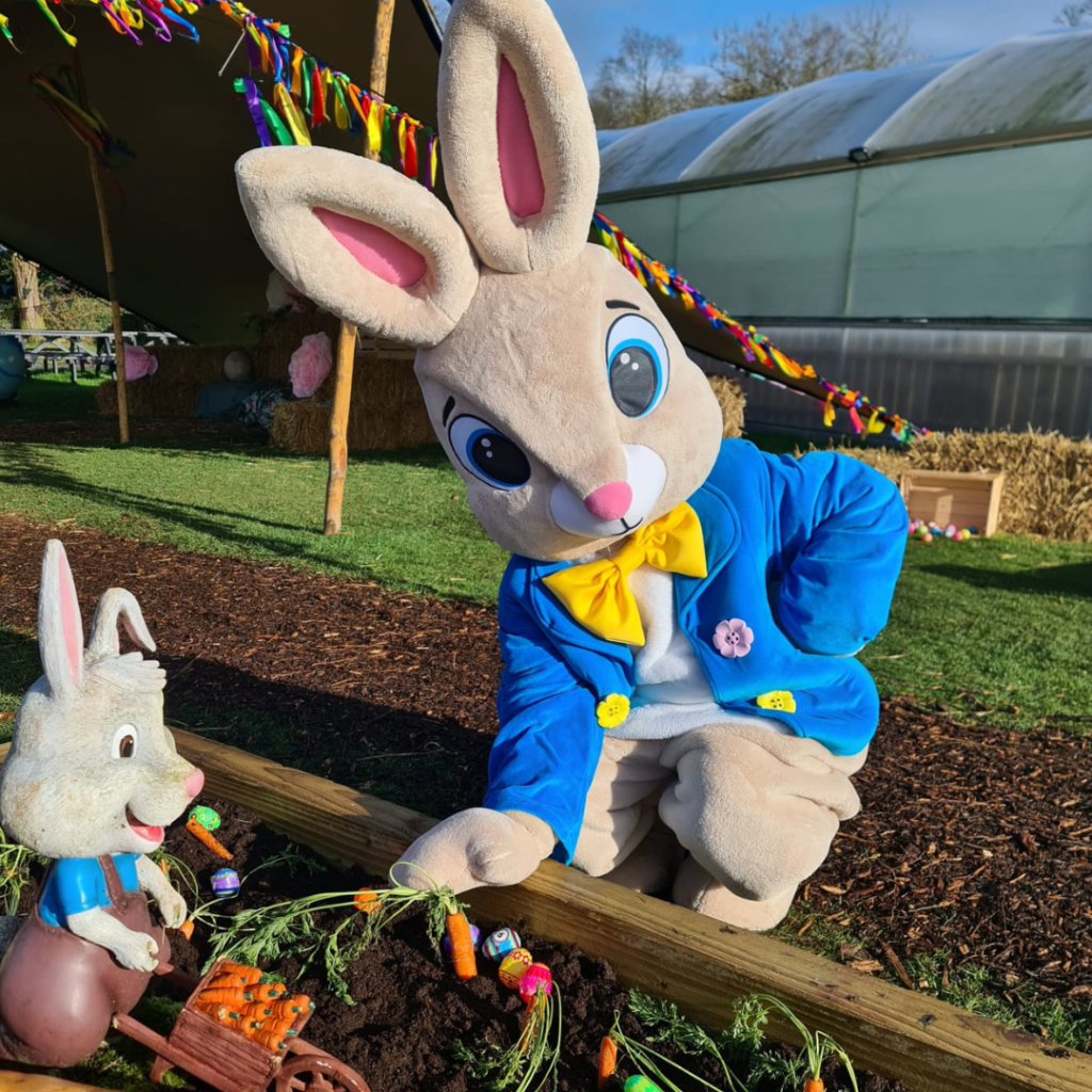 Events - The Ark Open Farm