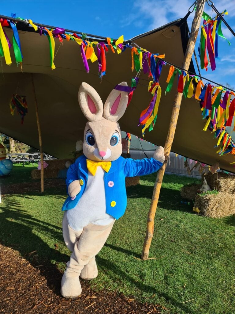 Easter Experience Northern Ireland - The Ark Open Farm