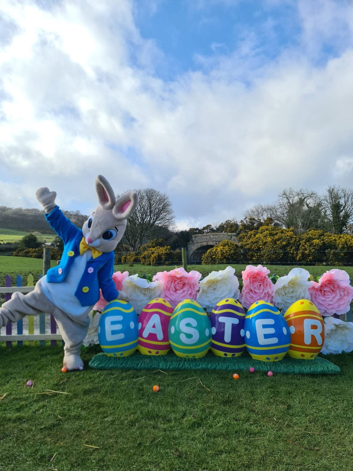 Easter Experience Northern Ireland - The Ark Open Farm